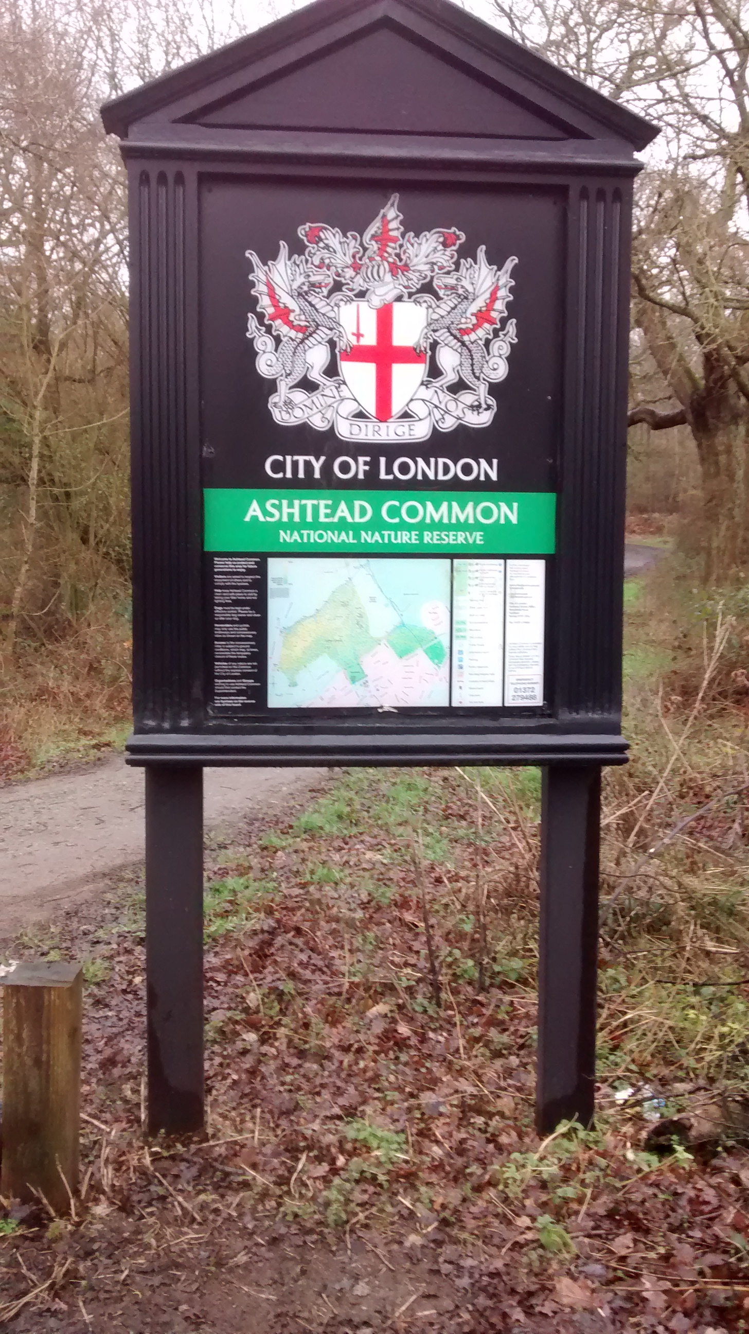 Epsom and Ashtead Commons Walk – Ewell Probus