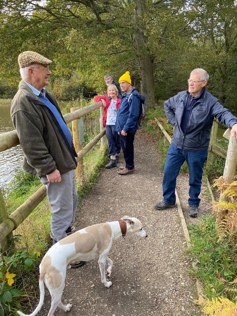 Epsom Common Walk – Ewell Probus